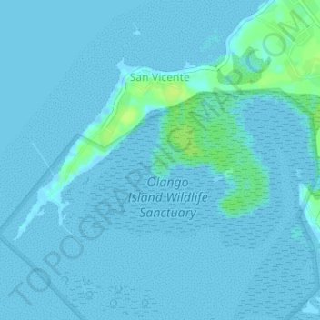 Topografische Karte San Vicente, Höhe, Relief